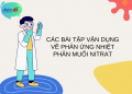 Nhiệt phân muối Nitrat: Lý thuyết, ví dụ và bài tập áp dụng